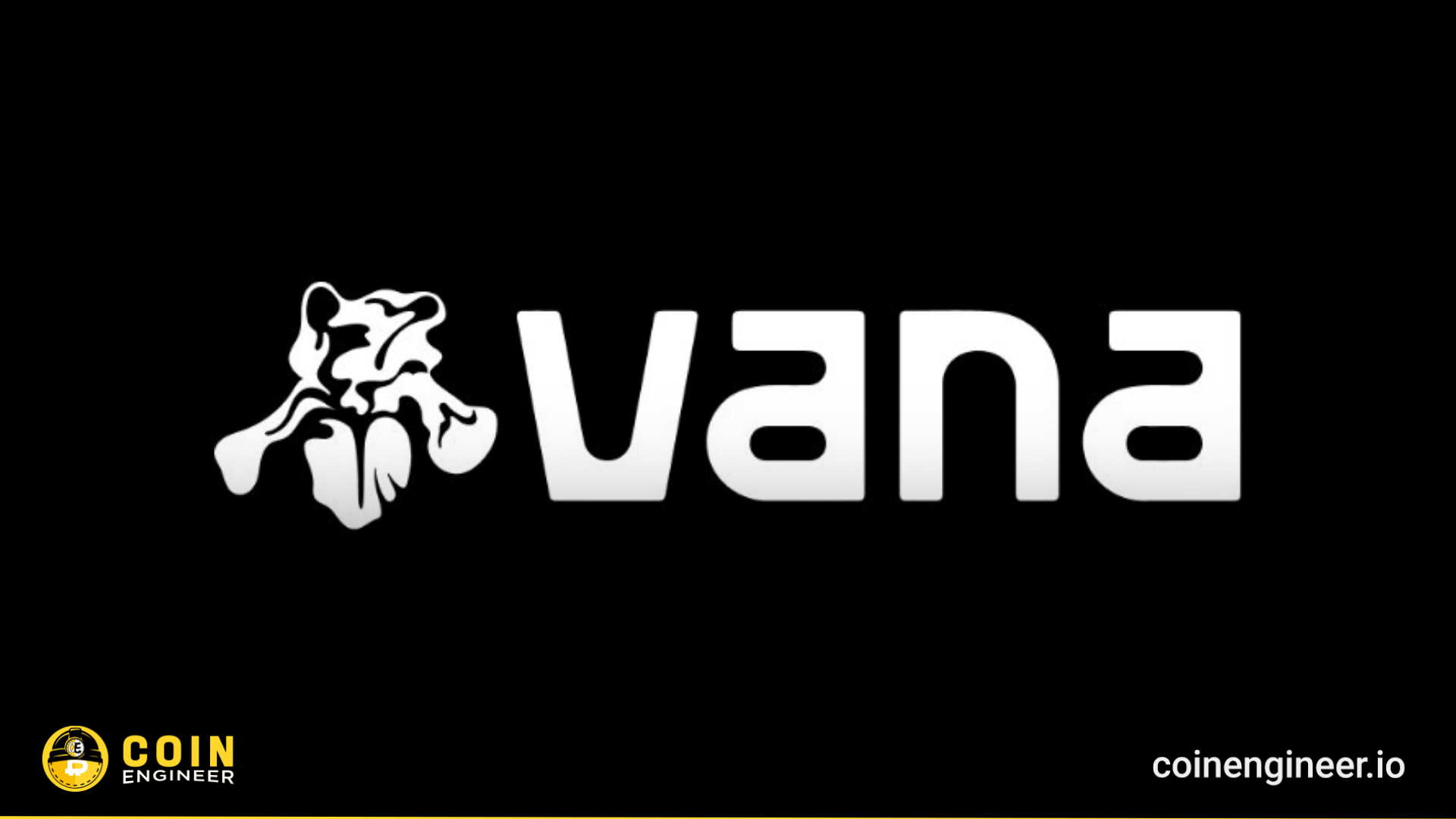 What is Vana (VANA)? Empowering Users with the Value of Their Data ...