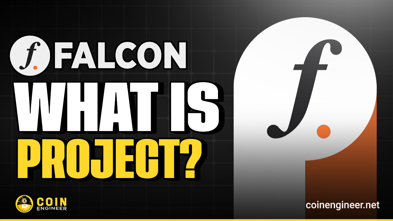 What is Falcon Finance? - Coin Engineer