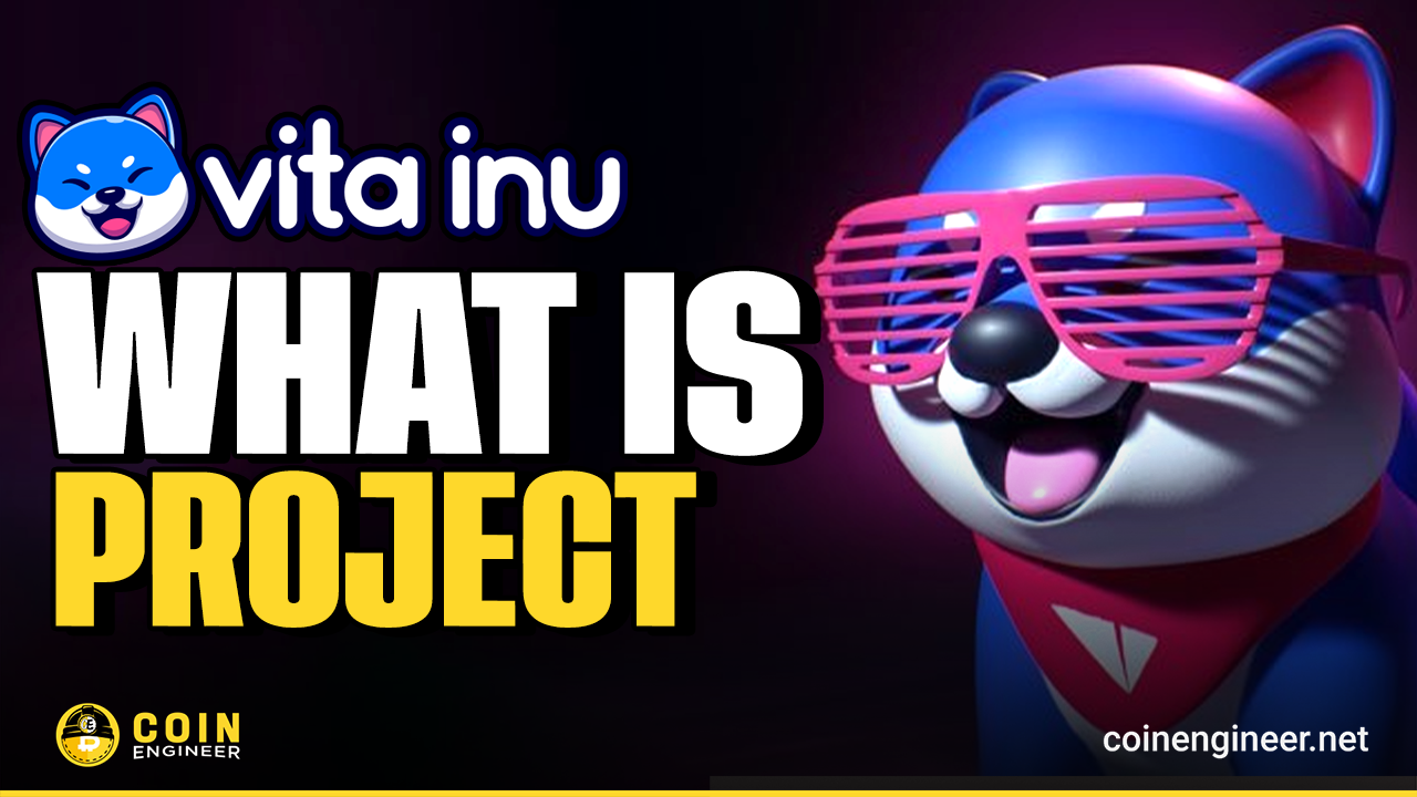 Vita Inu (VINU) Project Review - Coin Engineer