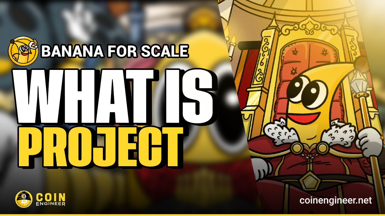What is Banana For Scale (BANANAS31)? - Coin Engineer