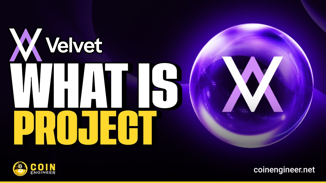 What Is Velvet Capital (VELVET)? - Coin Engineer