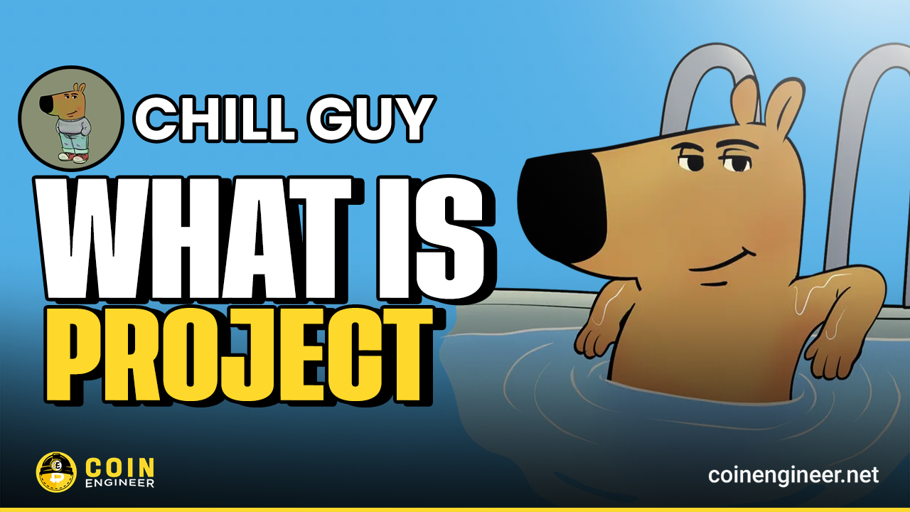 What is Just a chill guy ($CHILLGUY)? Solana Meme Coin - Coin Engineer