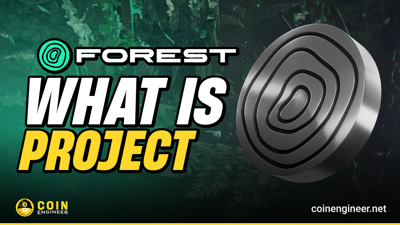 What is Forest Protocol? Playable Token and BNB Chain - Coin Engineer