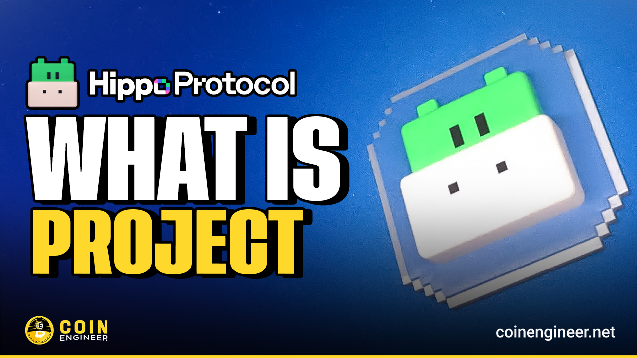 Hippo Protocol (HP): Blockchain Solutions for Health Data - Coin Engineer