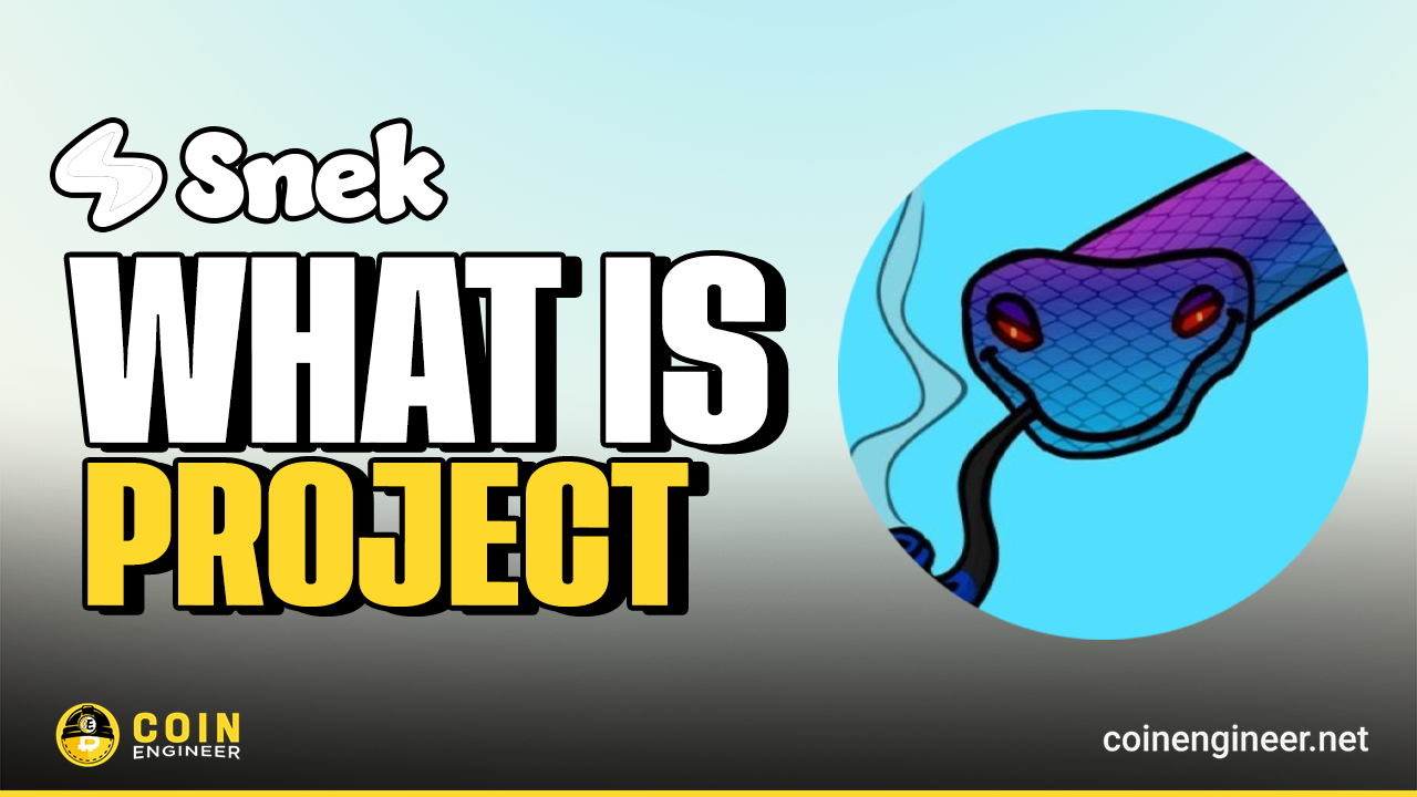 What Is Snek (SNEK)? - Coin Engineer