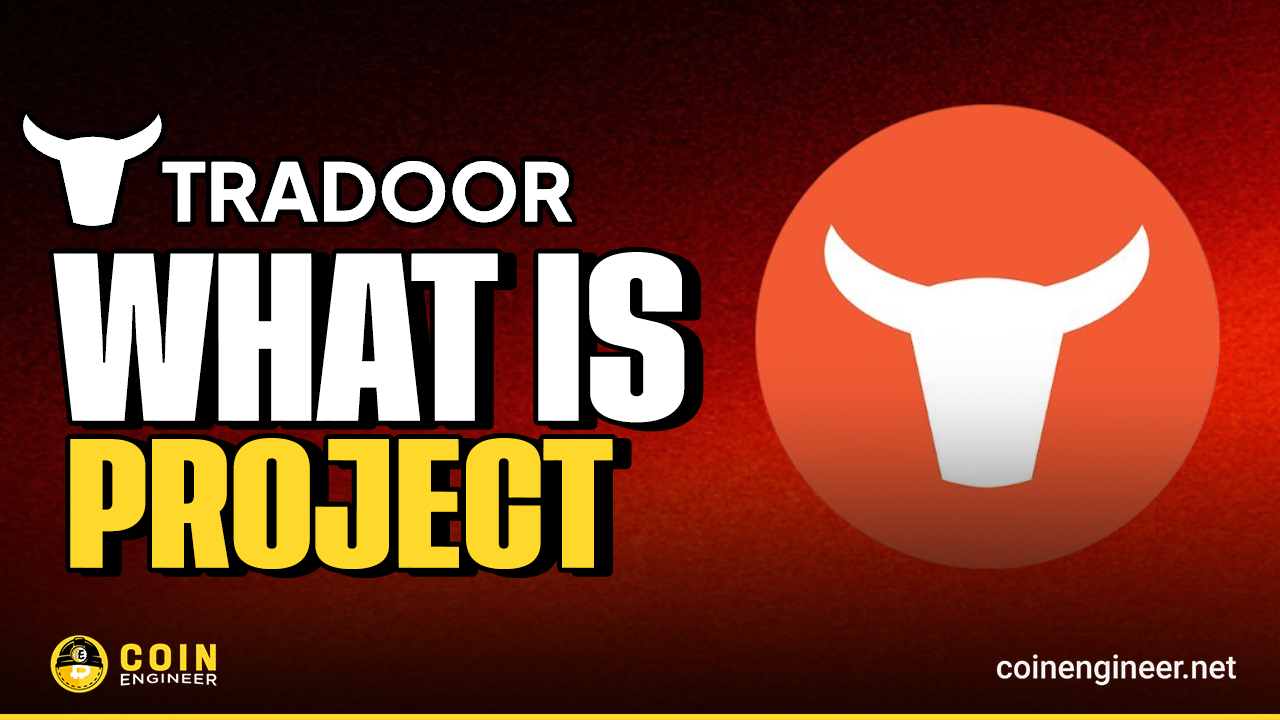 What is Tradoor (TRADOOR)? - Coin Engineer