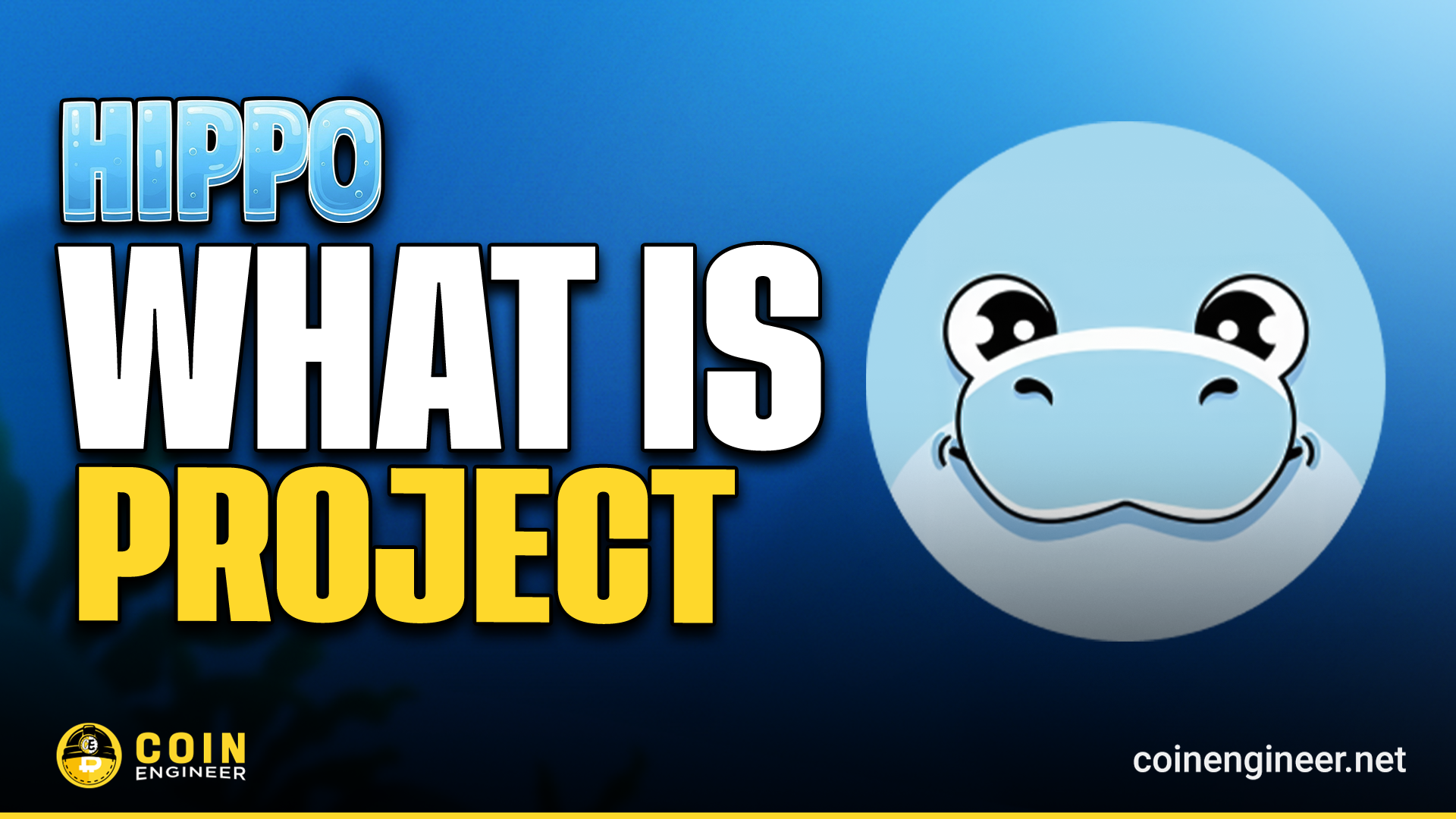 What Is Sudeng (HIPPO)? - Coin Engineer