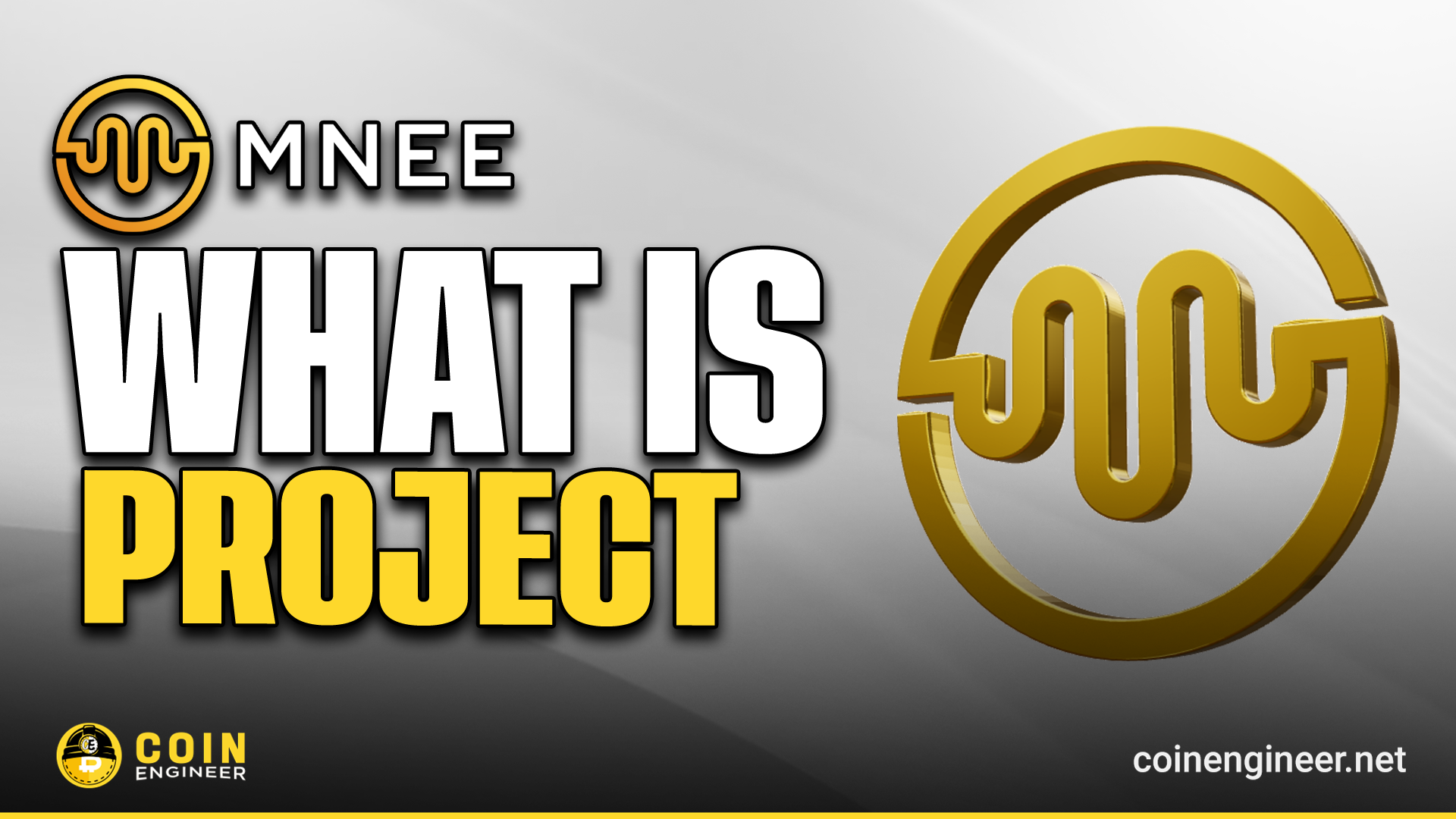 What Is MNEE (MNEE)? - Coin Engineer