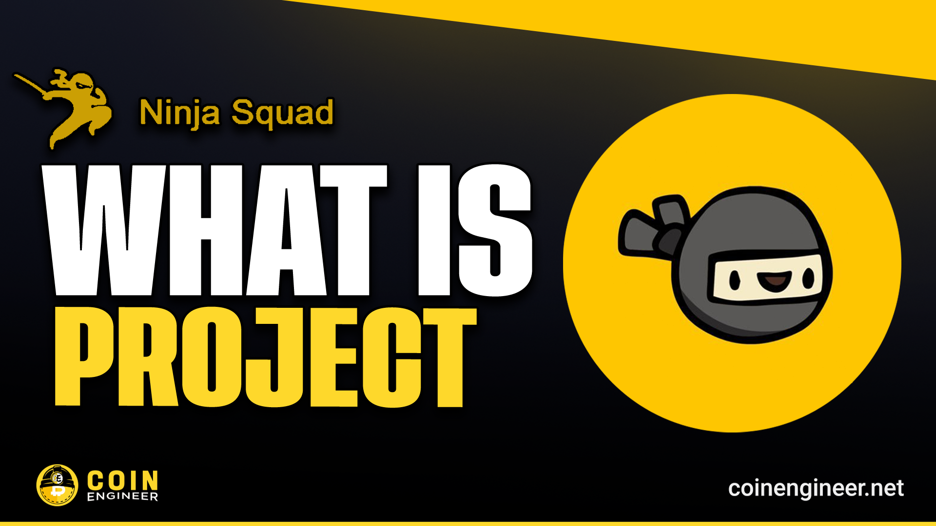 What is Ninja Squad Token (NST)? - Coin Engineer