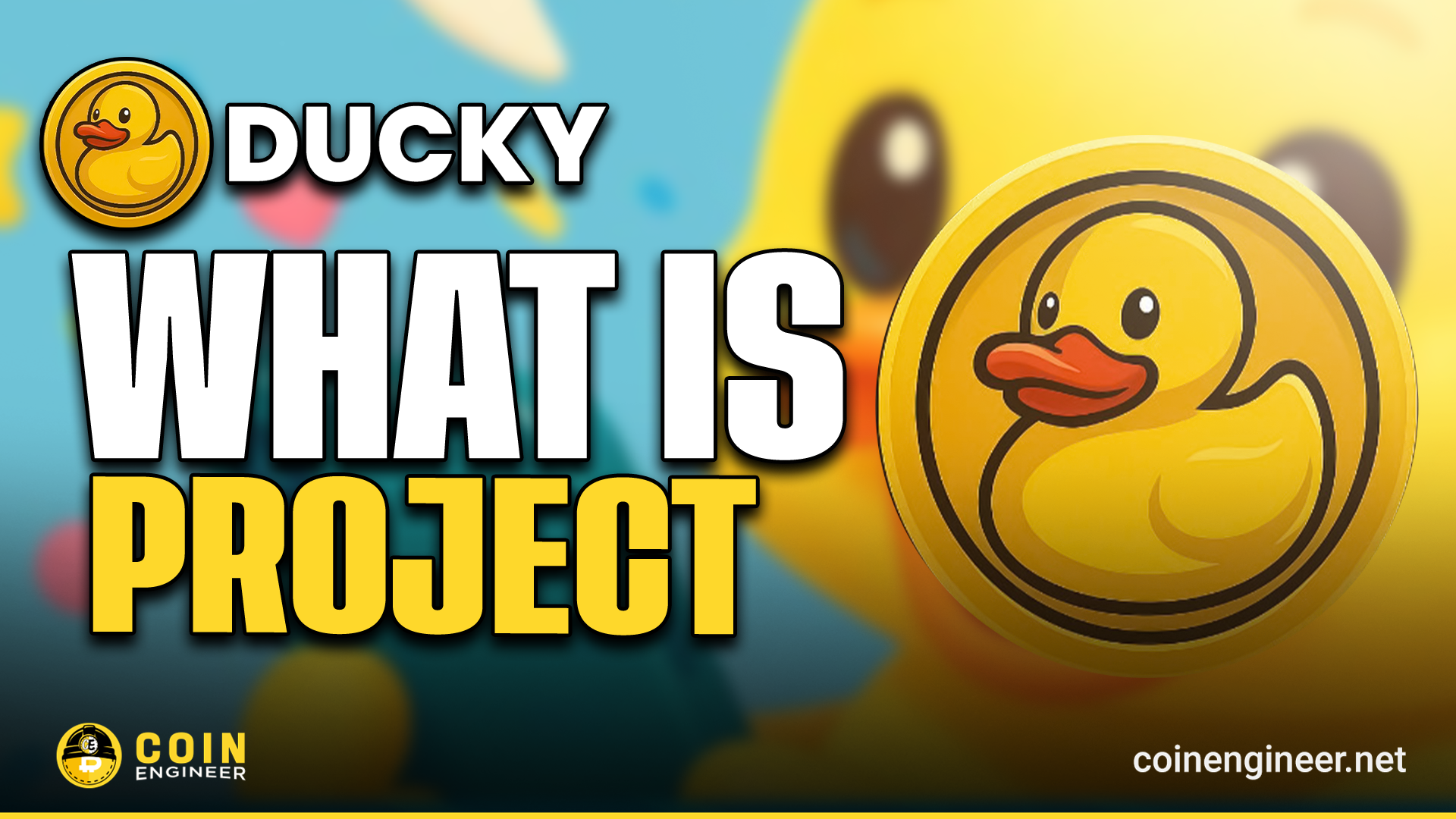 What Is DUCKY (DUCKY)? - Coin Engineer