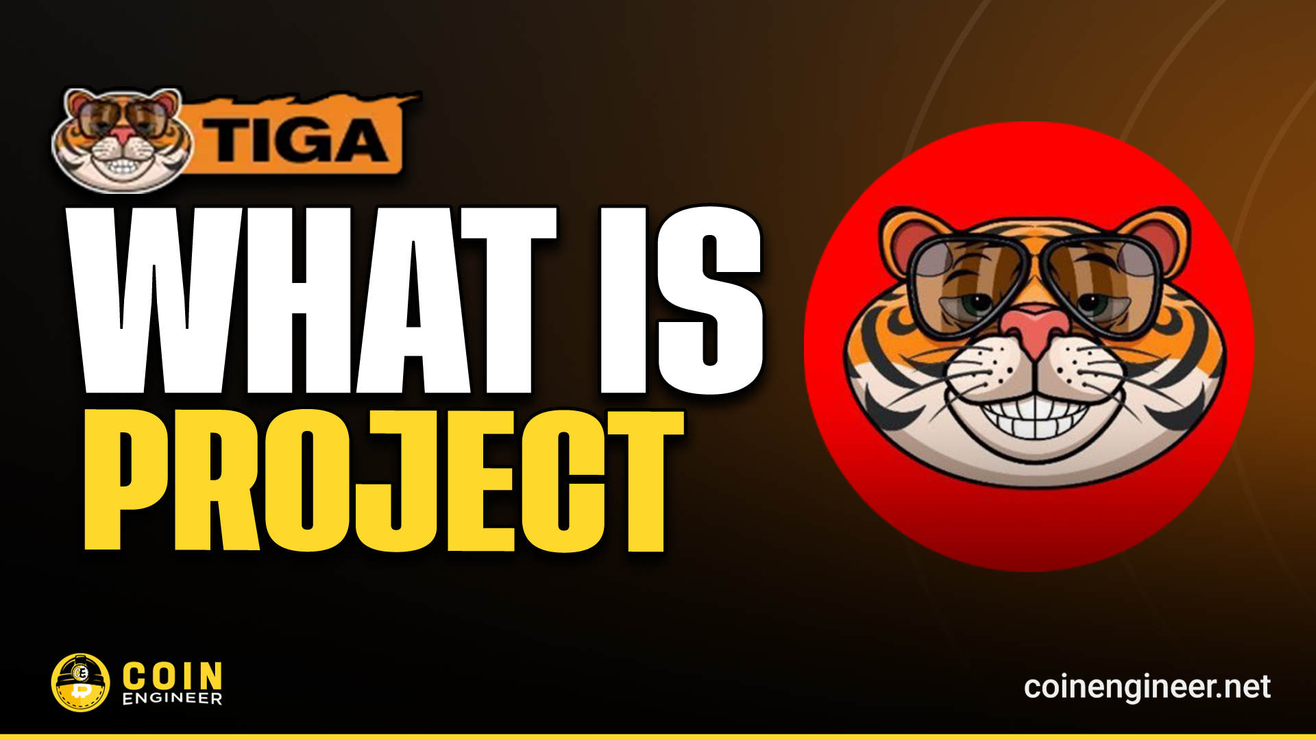What is Tiga (TIGA)? - Coin Engineer