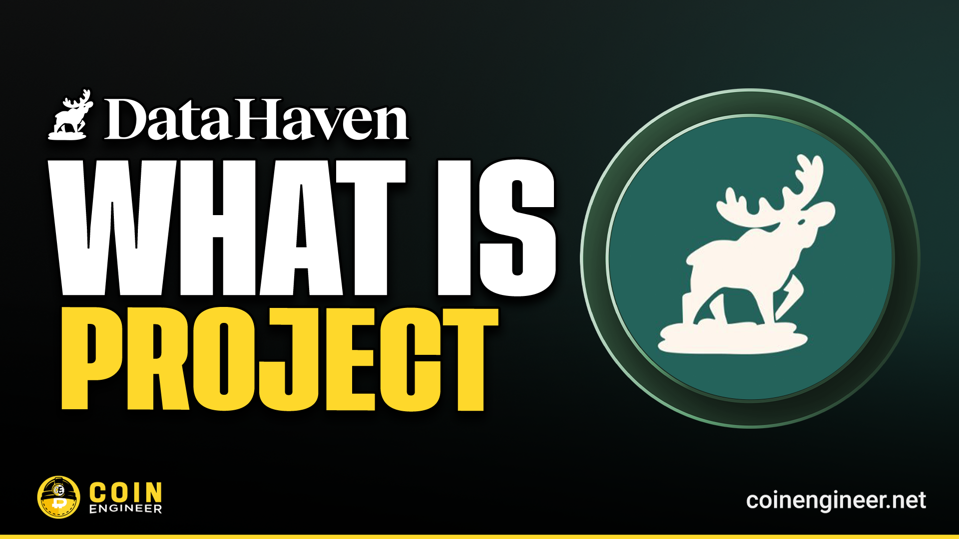 What is DataHaven (HAVE)? - Coin Engineer